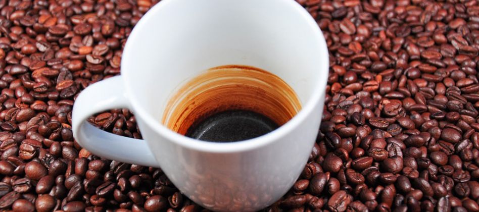 Alle unsere Artikel zu Ratgeber