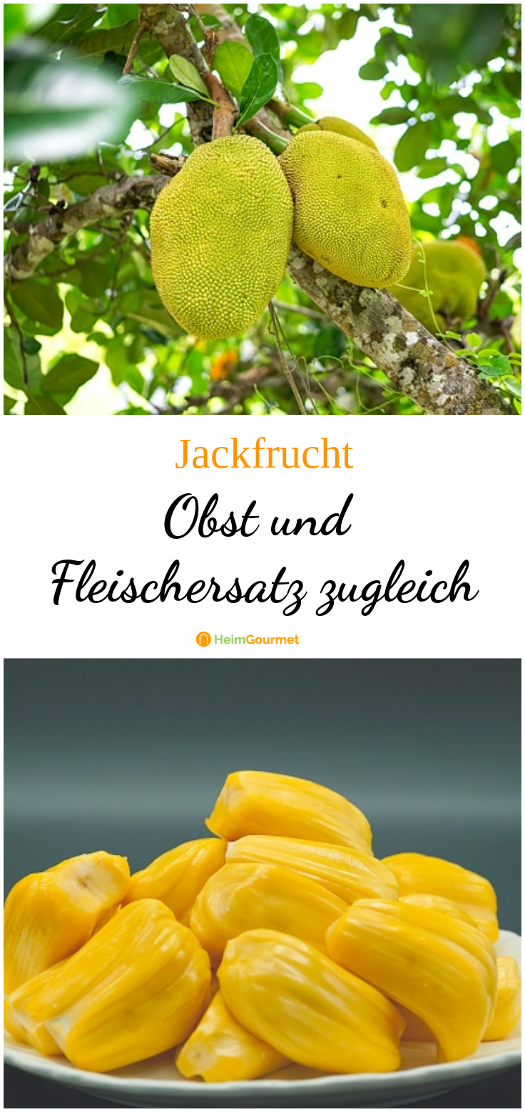 Die Jackfrucht: Obst und Fleischersatz zugleich!